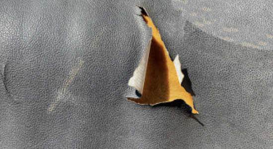 Triton Excess Wear and Use Coverage