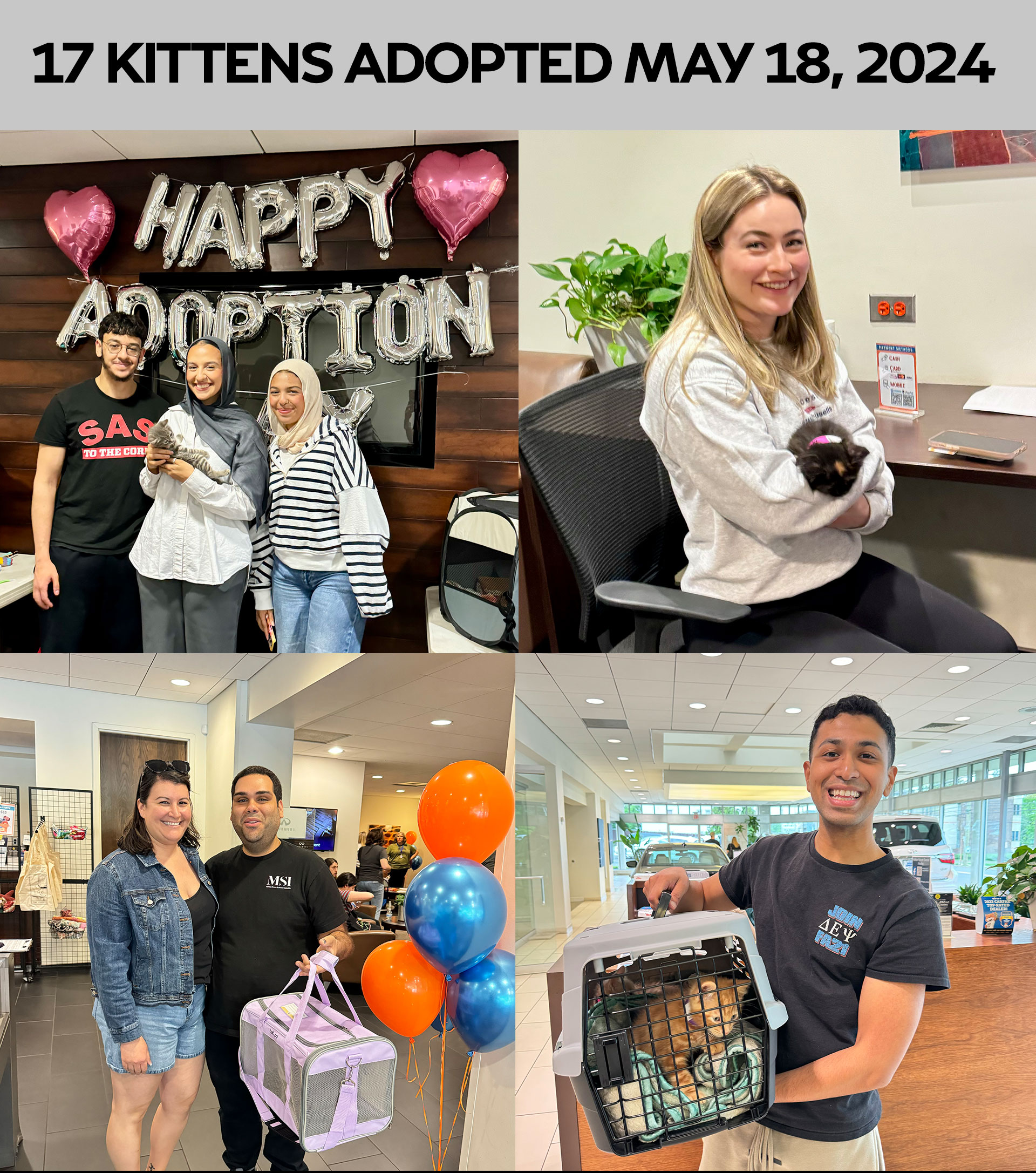 CAT & KITTEN ADOPTION EVENT | Douglas INFINITI