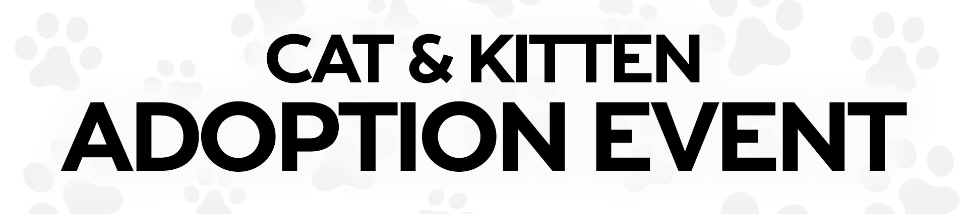 CAT & KITTEN ADOPTION EVENT | Douglas INFINITI